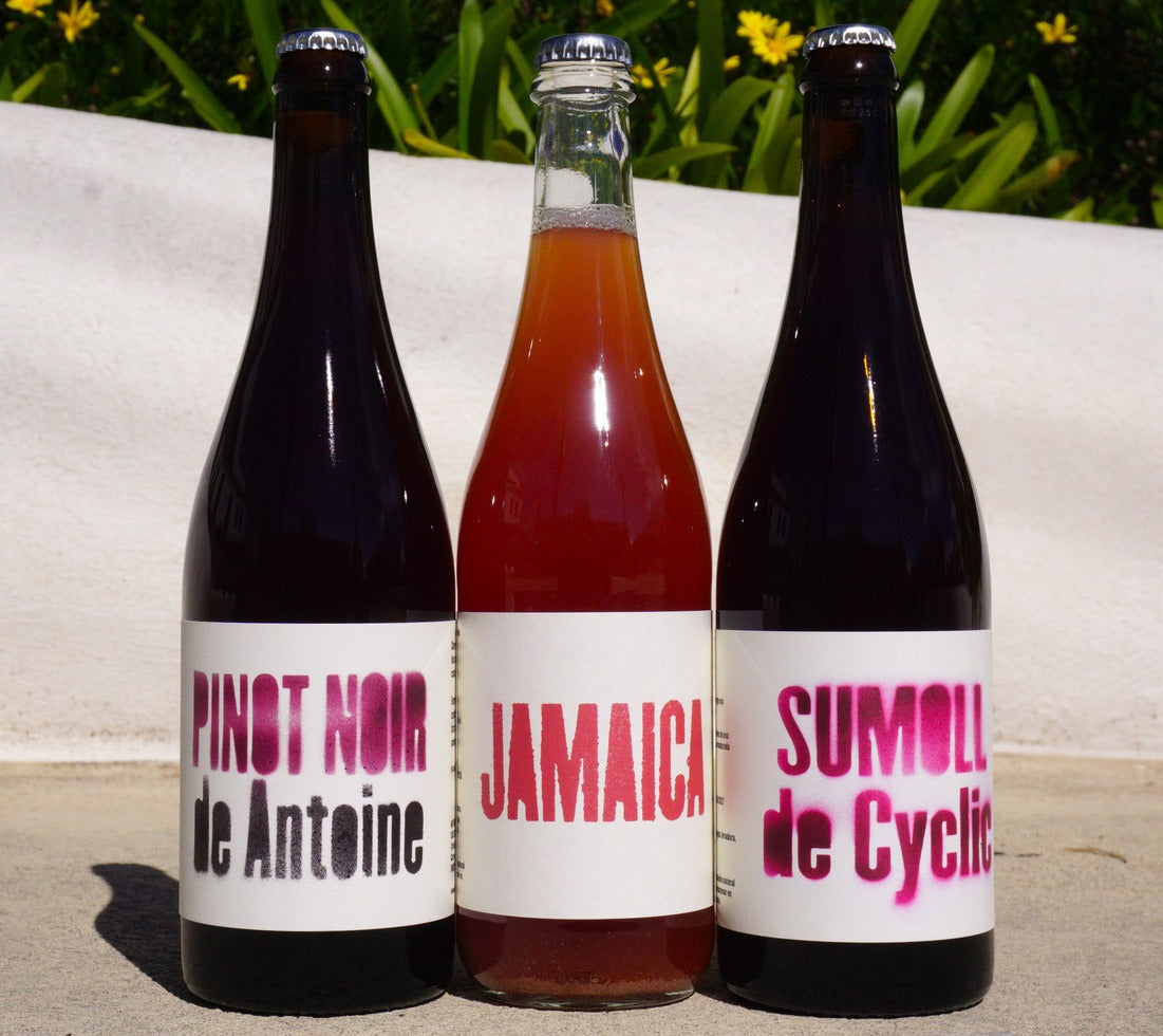 Cyclic Sour Beer – laespontanea