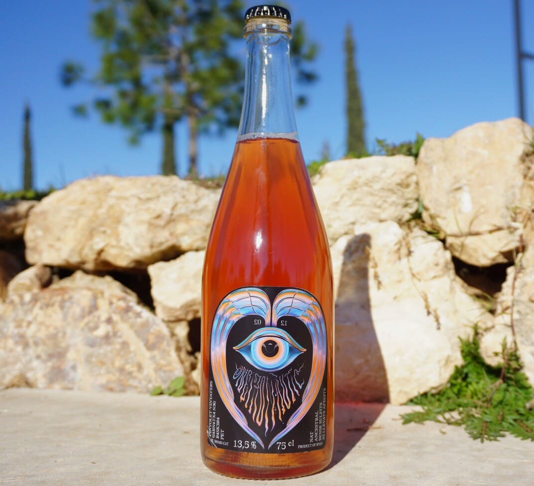 Oneironàutic by Pinyolet Vinyater – laespontanea